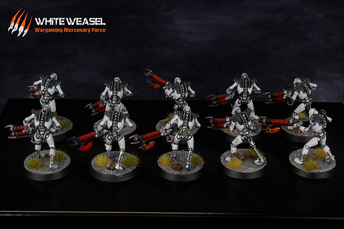 Necrones Ejército Indomitus Ctan Void Dragon - White Weasel Studio