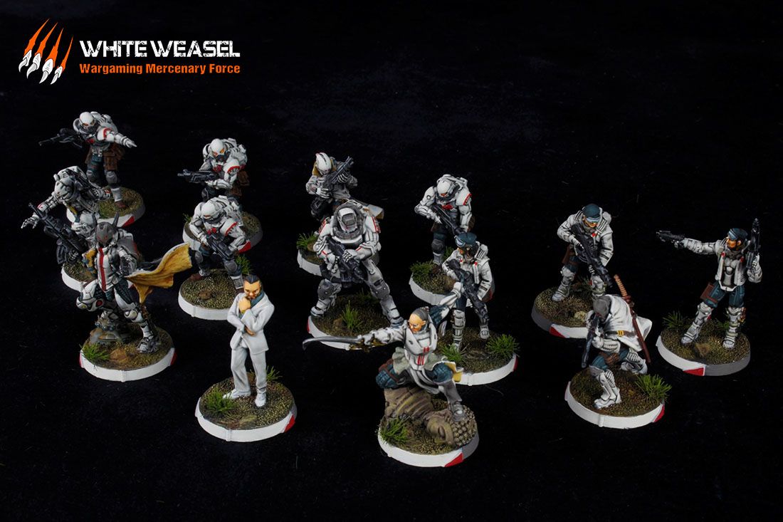 Infinity ejército White Company - White Weasel Studio